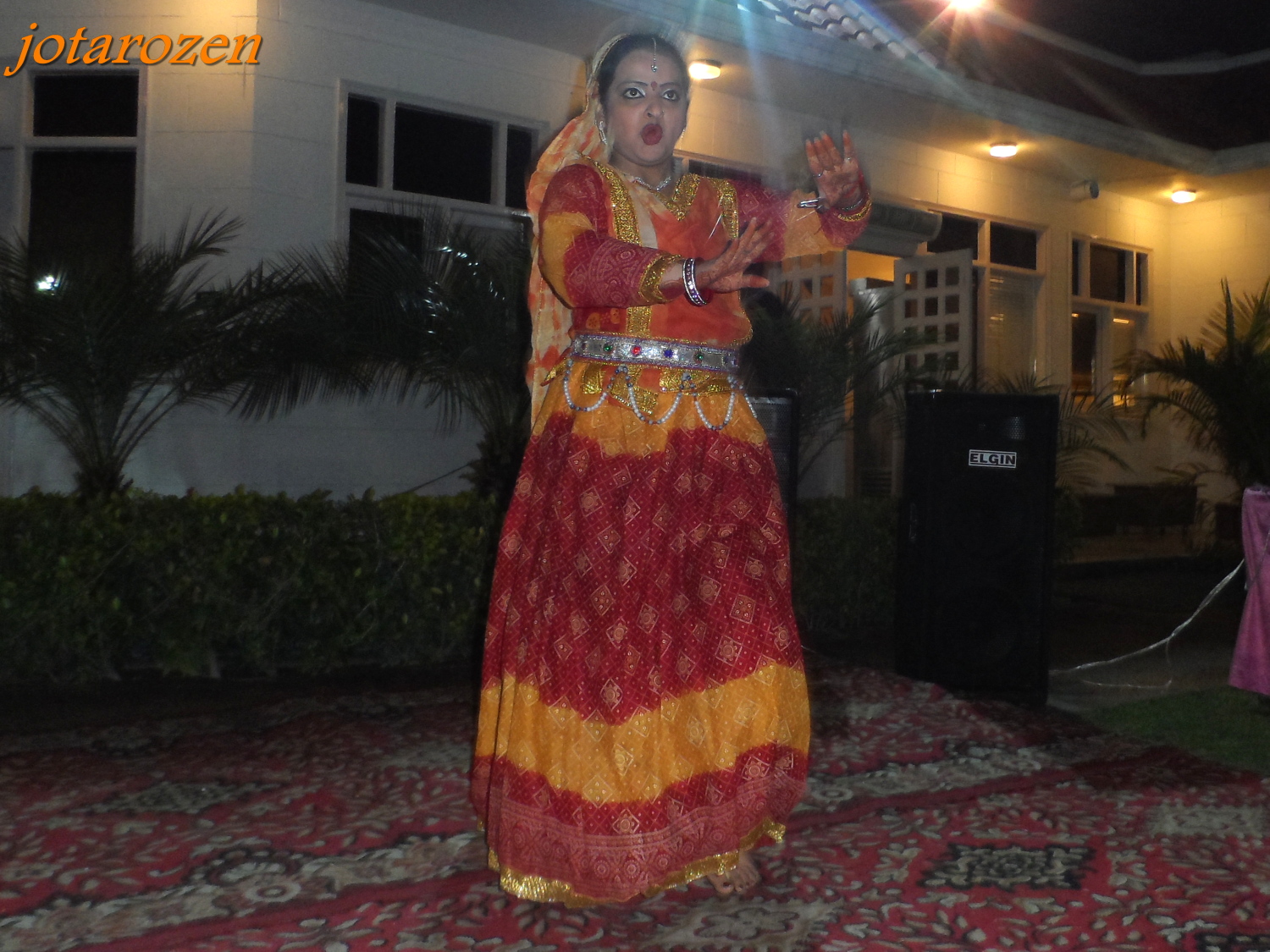 Footsteps - Jotaro's Travels: Intoxicating India 2013 - Day 8