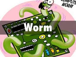 Virus Worm (cacing komputer)