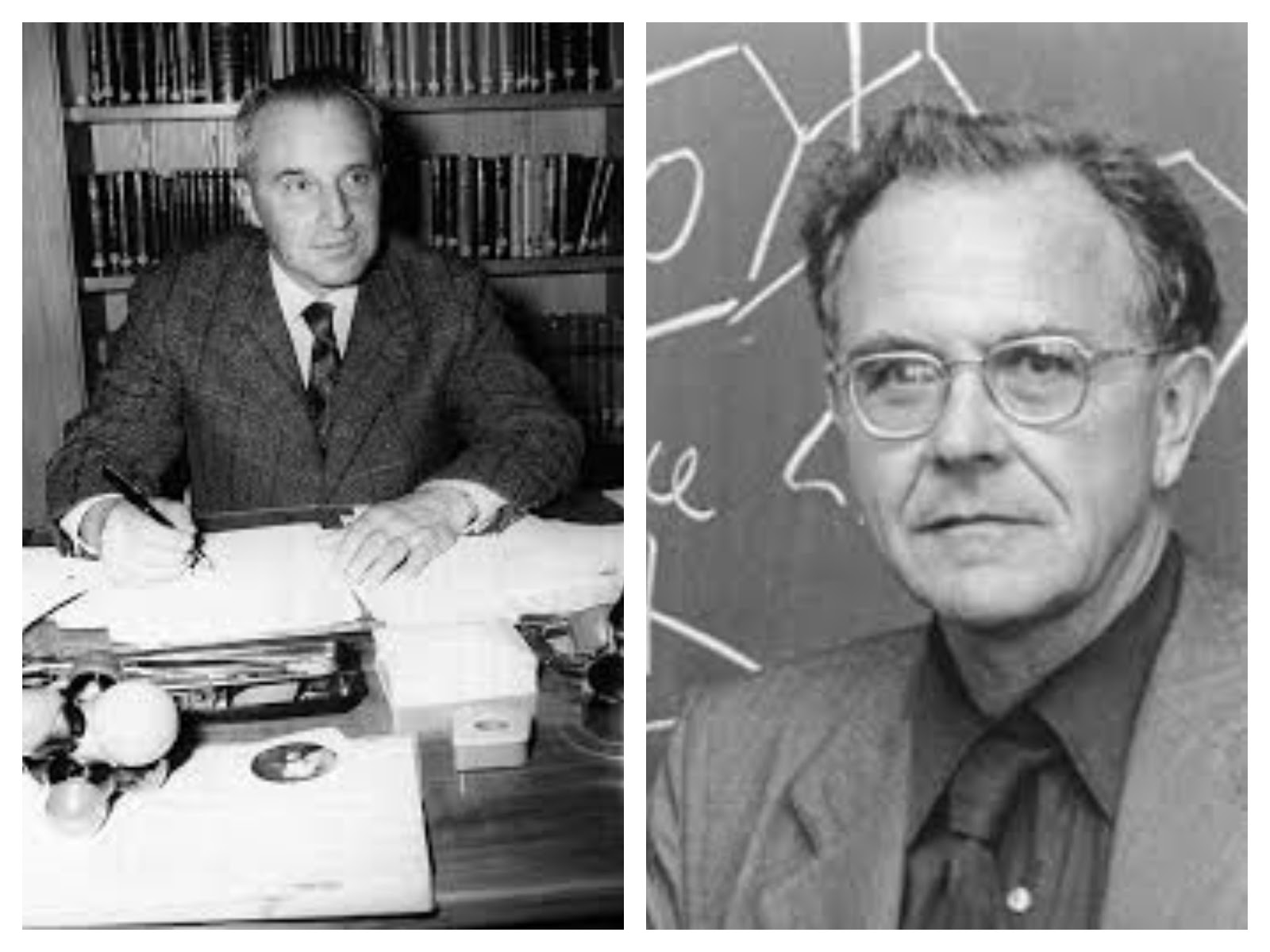 História em Imagens: Vencedores dos Prémios Nobel - 1971 a 1974