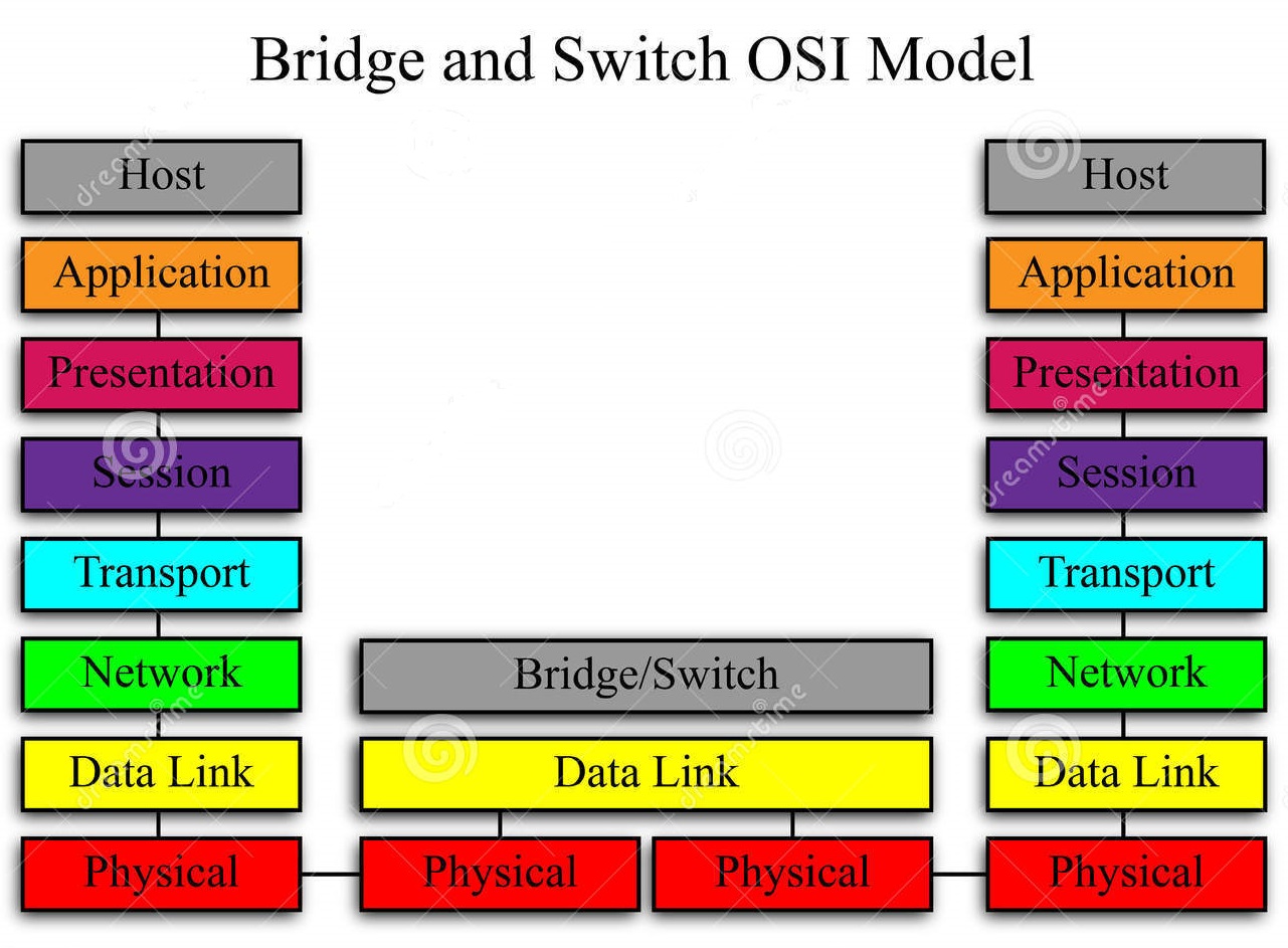 Types Of Switch Layers at Stella Finniss blog