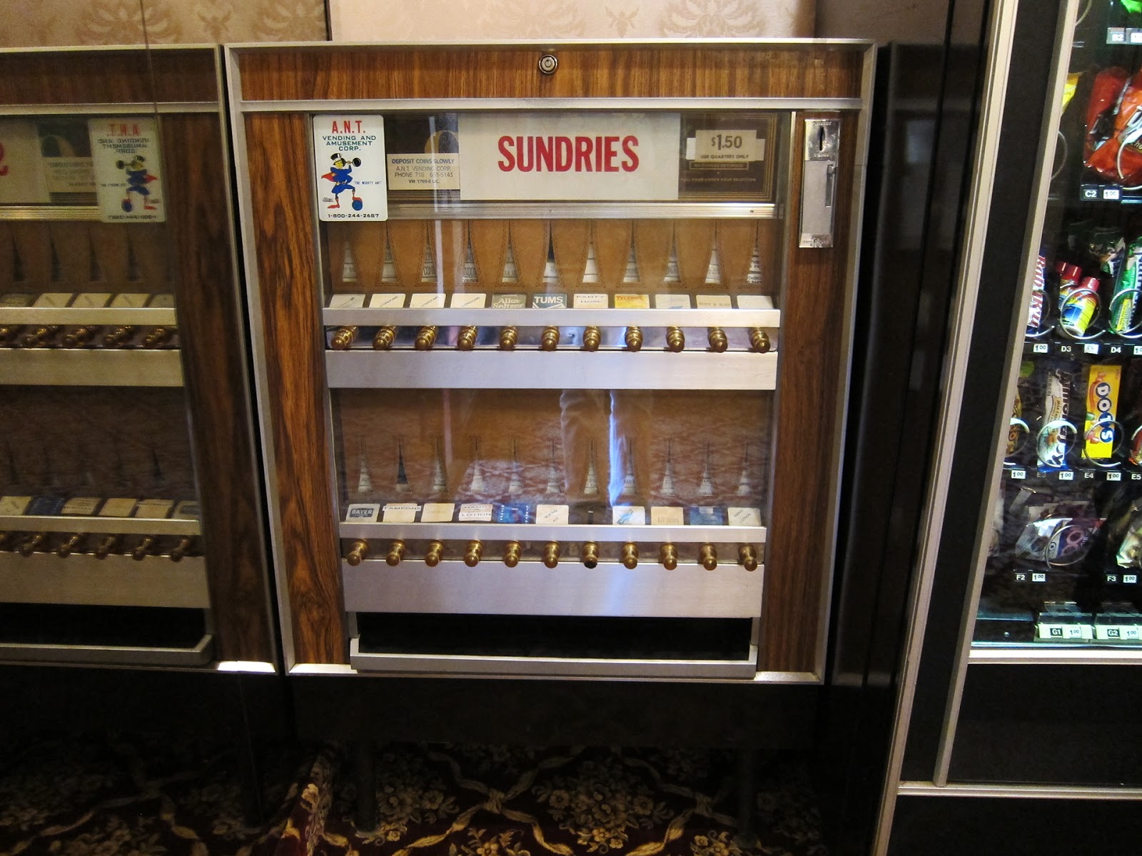 Frankie's Apartment: Mighty Ant