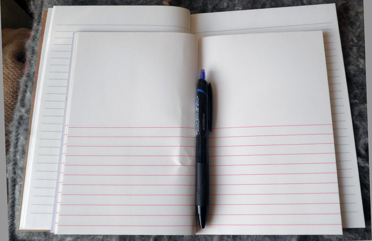 Pocket Blonde: Millimeter Milligram Notebooks