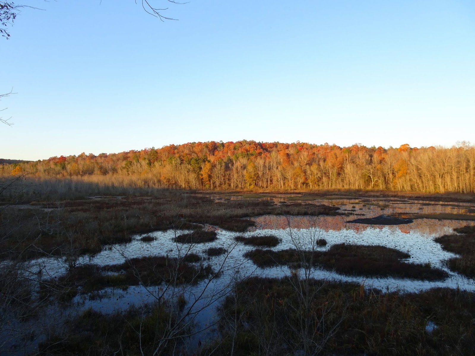 Femme au foyer: Forty Acre Rock Heritage Preserve