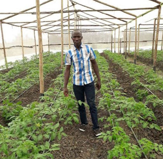 Greenhouses Kenya company[+254723053026