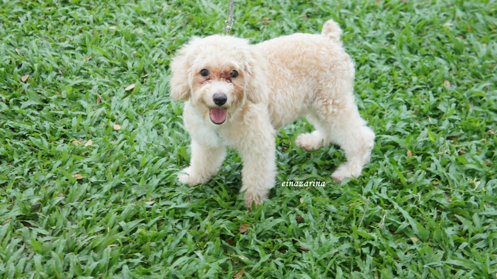 EinaZarina Blog: February 2012