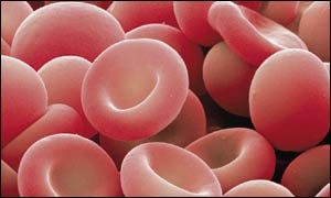 Sel Darah Merah (Eritrosit) - Imad Analis Blog