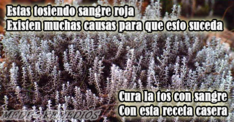 tos-con-sangre-wira-wira-remedio.png