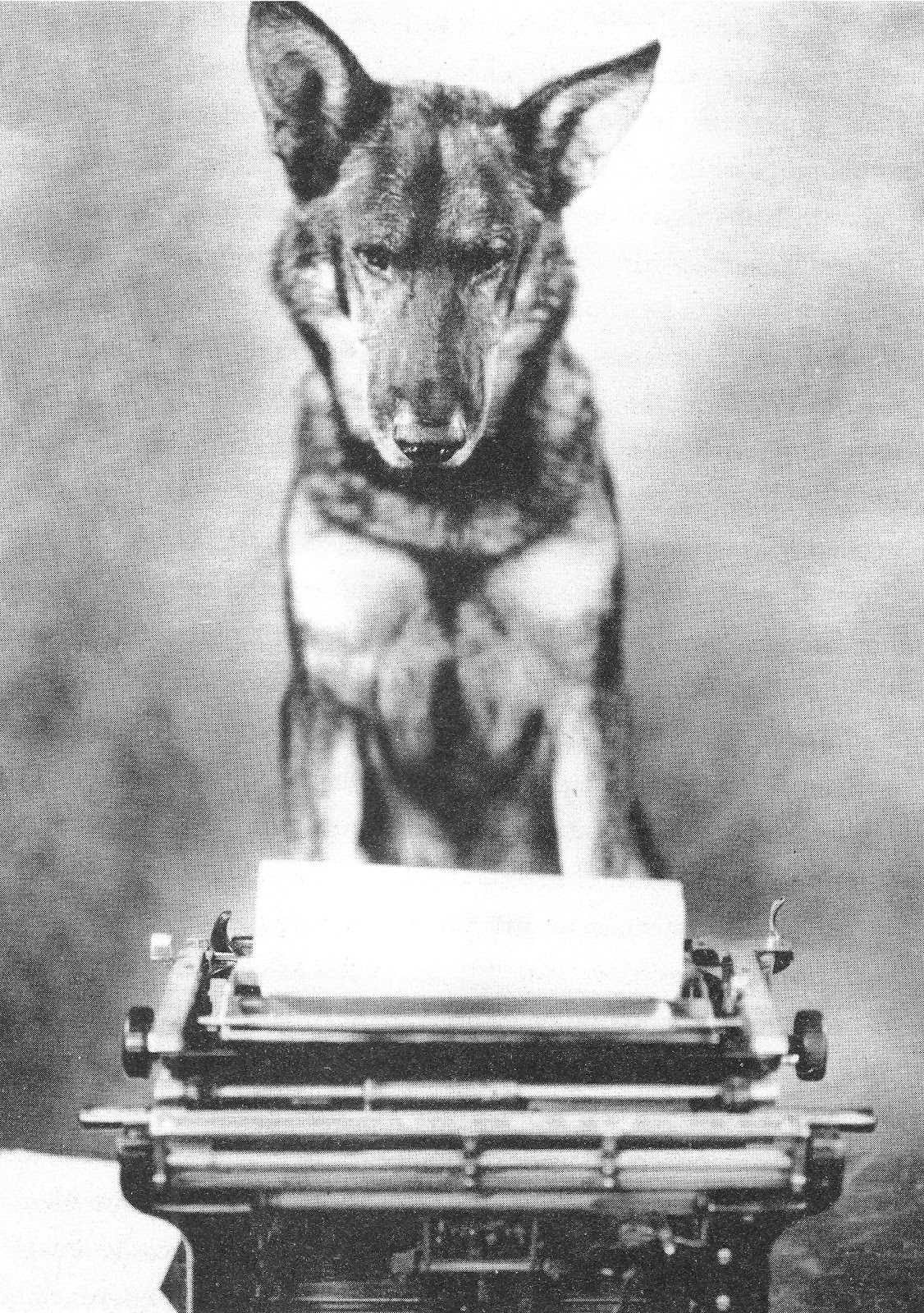 Dog Typewriter