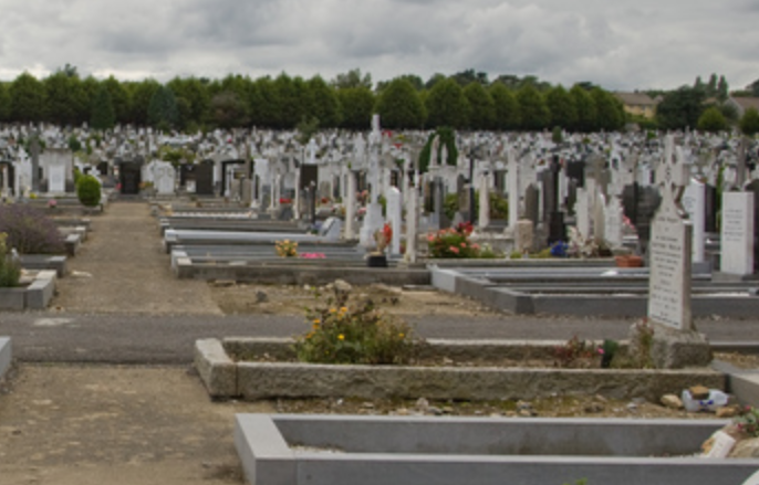 Canada's Anglo-Celtic Connections: Two South Dublin Cemetery Registers ...
