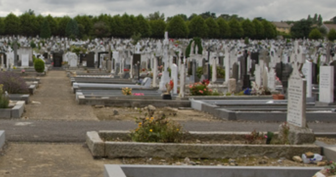 Canada's Anglo-Celtic Connections: Two South Dublin Cemetery Registers ...