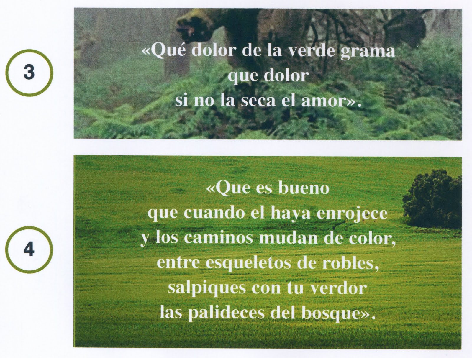 Cantemos como quien respira: CANTIJUEGO EN VERDE