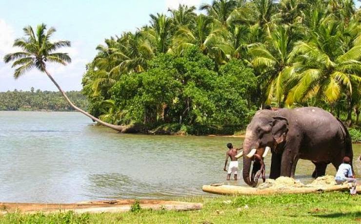 Places to visit in Kerala: Paravur Kayal Paravur, Kerala, India - www ...