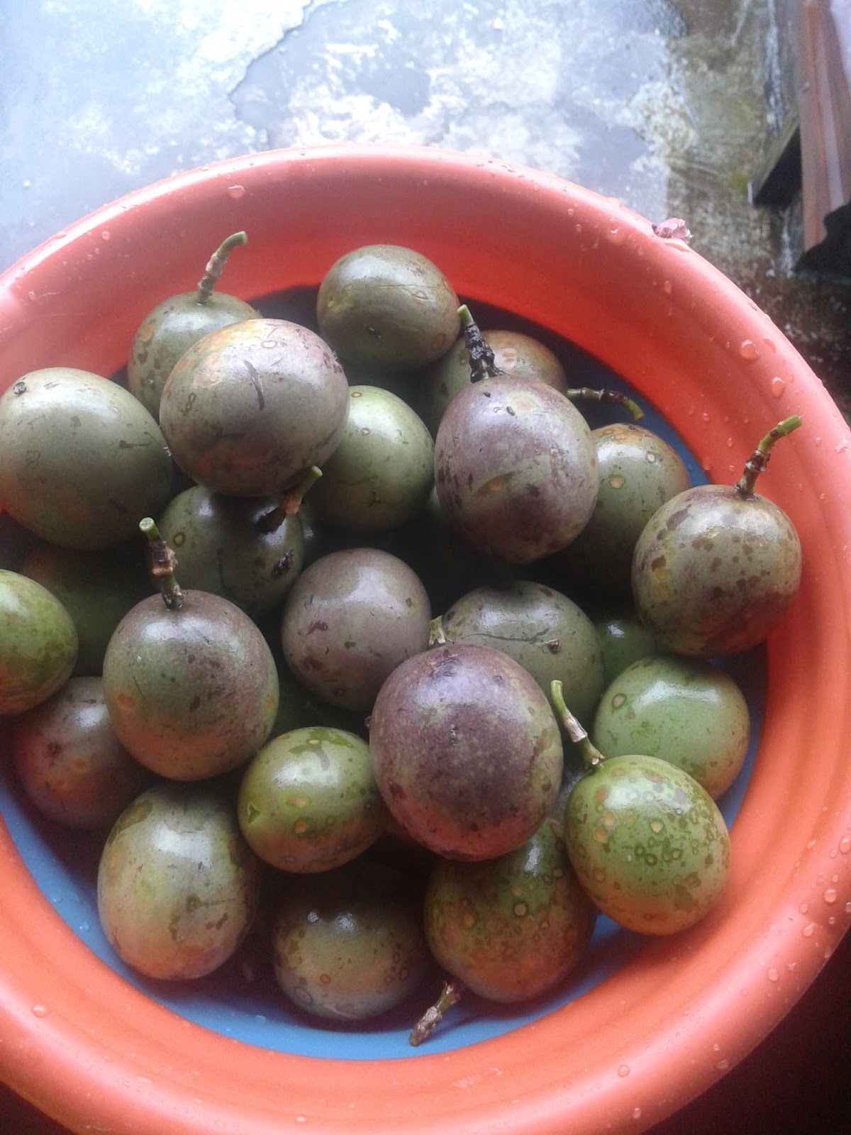 Buah Markisa: Ciri Khas Buah Markisa