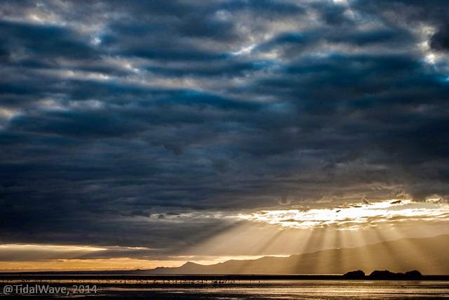 Travel and food tales: From green to gray, the stark beauty of Lake Natron