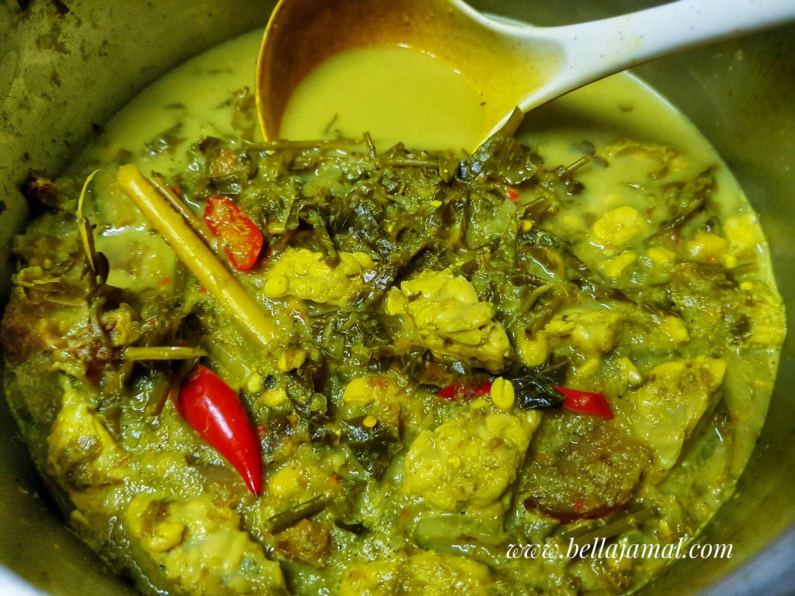 Pucuk Paku Masak Lemak Kuning Ikan Talang