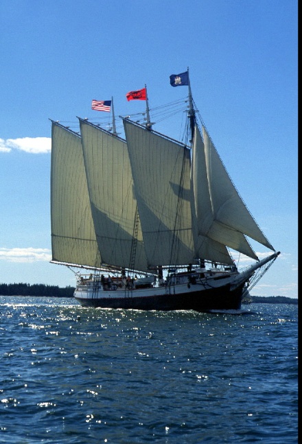 Shipyard Log: VICTORY CHIMES