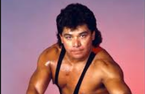 Como si hubiera sido ayer: Bestia Salvaje, Mascarita Sagrada ...