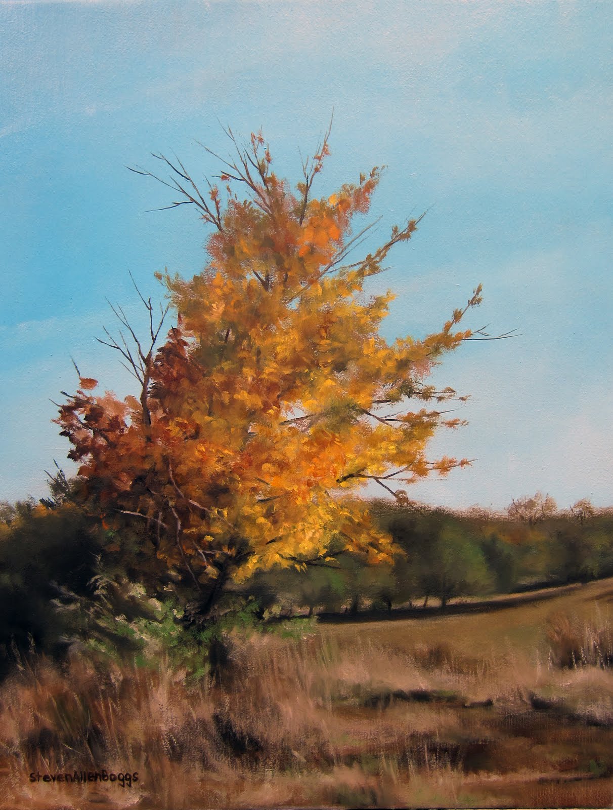 The Artwork Of Steven Allen Boggs: Landscape - Early Fall Tree
