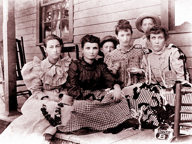 Notforgotten Farm : March 2019