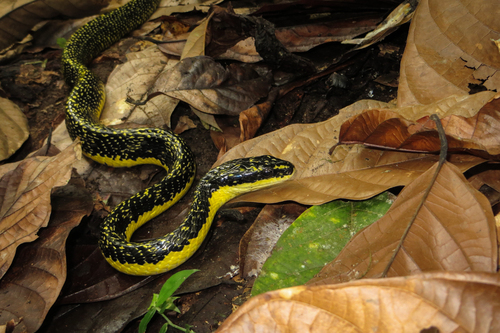 Parque Generalísimo Francisco de Miranda
