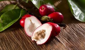 Santa Marta y sus especies vegetales : POMARROSA O PERITA DE AGUA ...