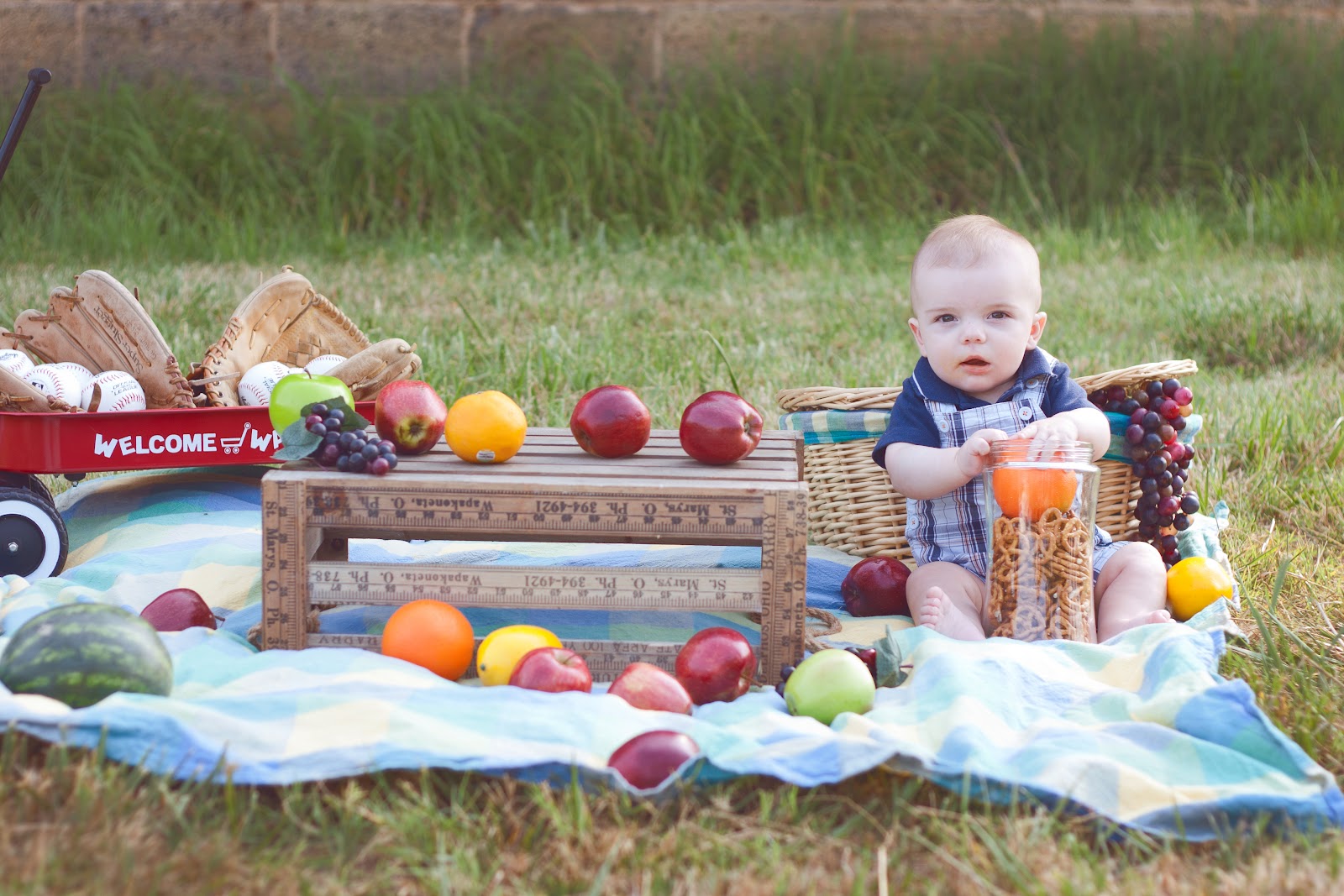 Jenne's Just Fabulous Journal: Owen's 6 month Watermelon Wagon ...