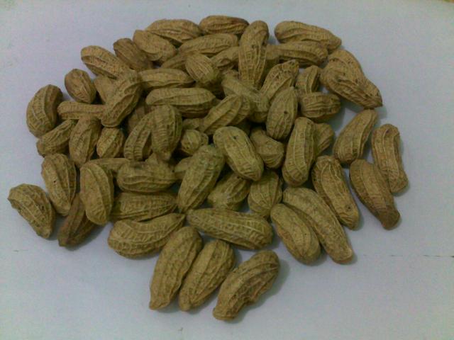 Kacang Kawangkoan - Kacang sangrai khas Minahasa - Dapur Teh Enur