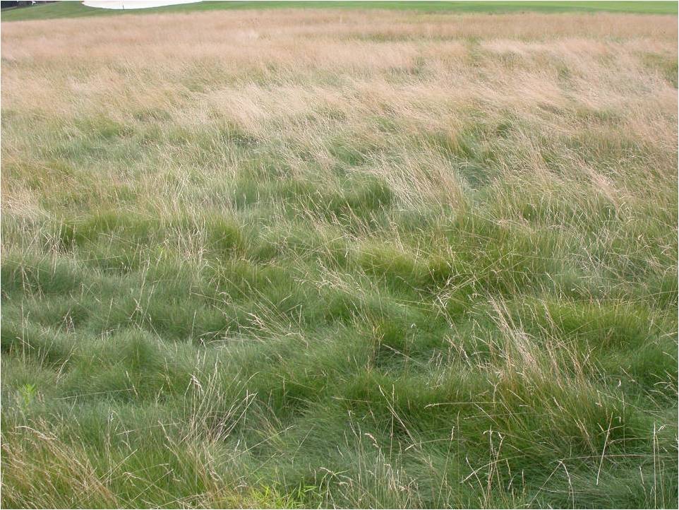 Harmony Landing Country Club: September 2011