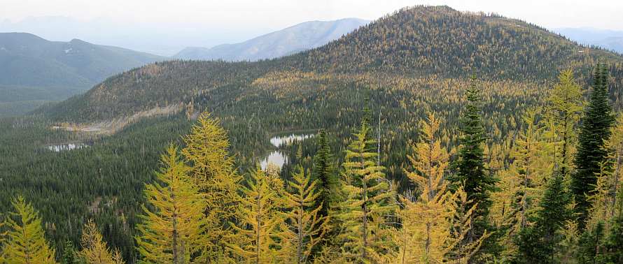 Tall Pines Hiker: Tuchuck Mountain