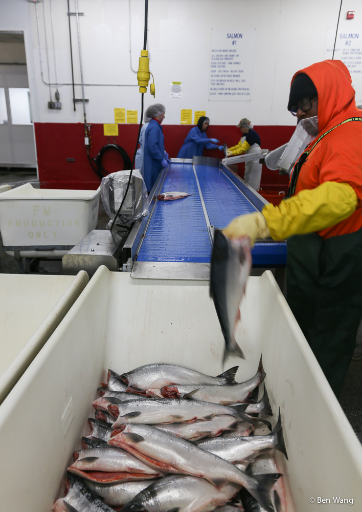 From Fishery to Table