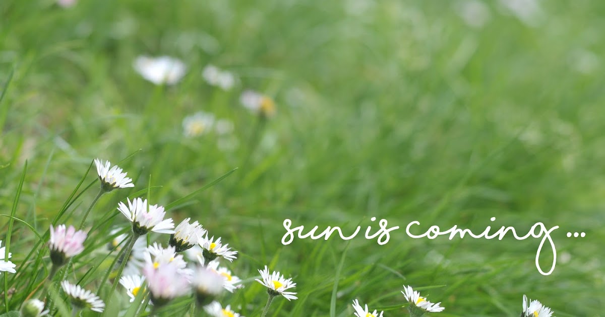 Bricolaure: SUN IS COMING // PHOTOS