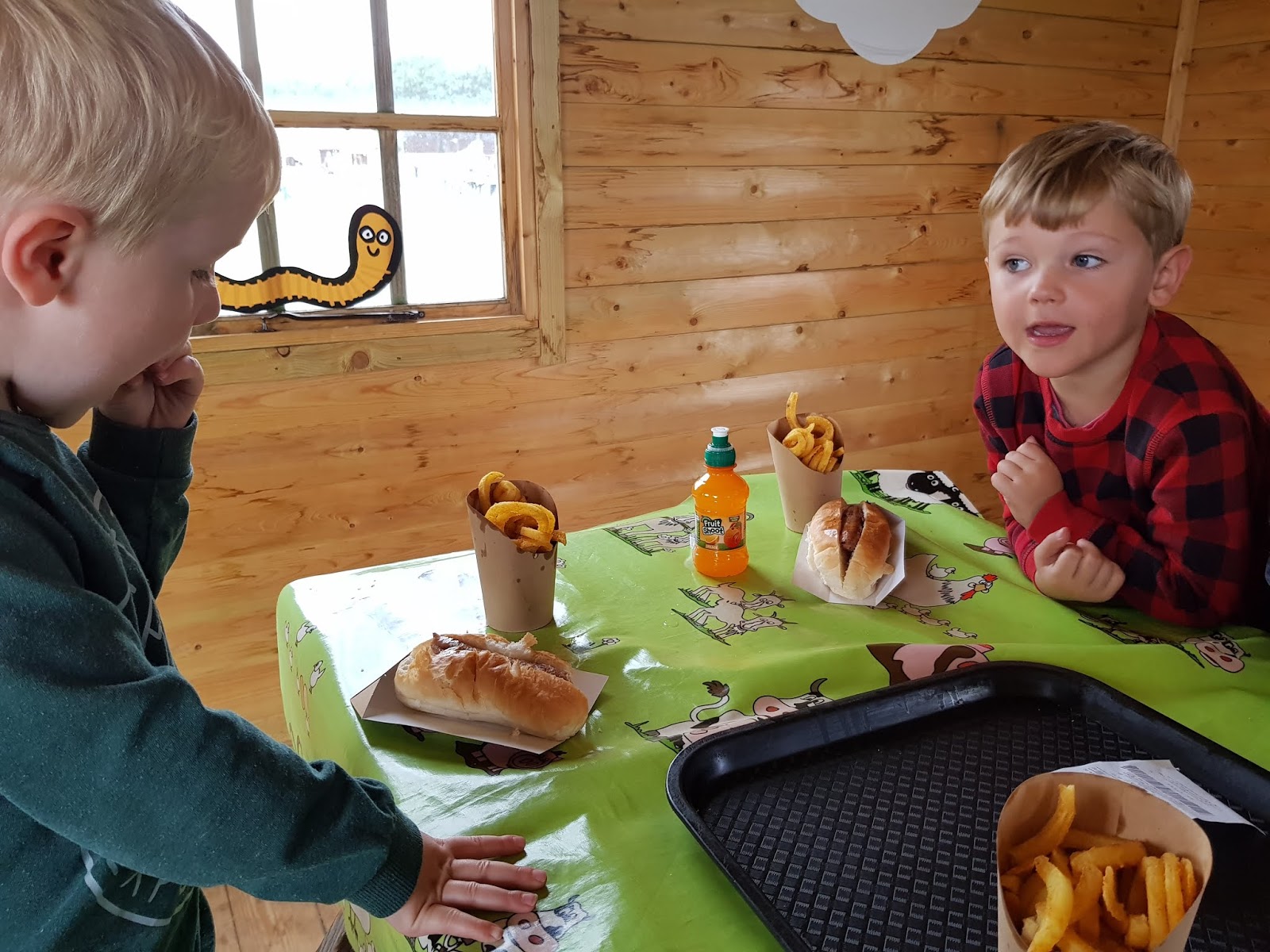 10 Things You Need To Know Before Visiting Piglets Adventure Farm In ...