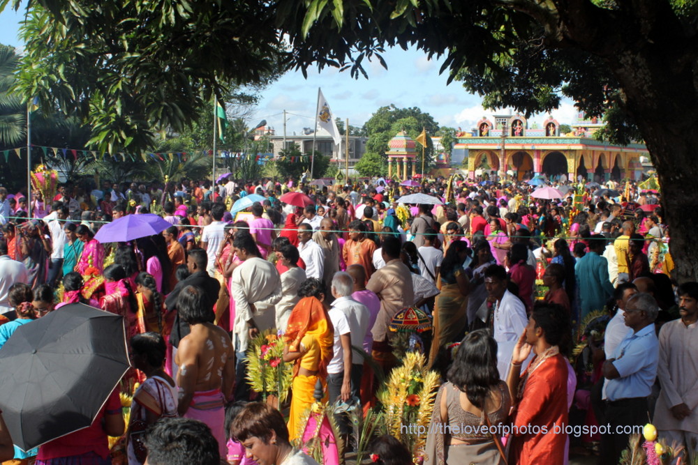 Red Needle's Tropical Passions: Sittirai Cavadee in Mauritius
