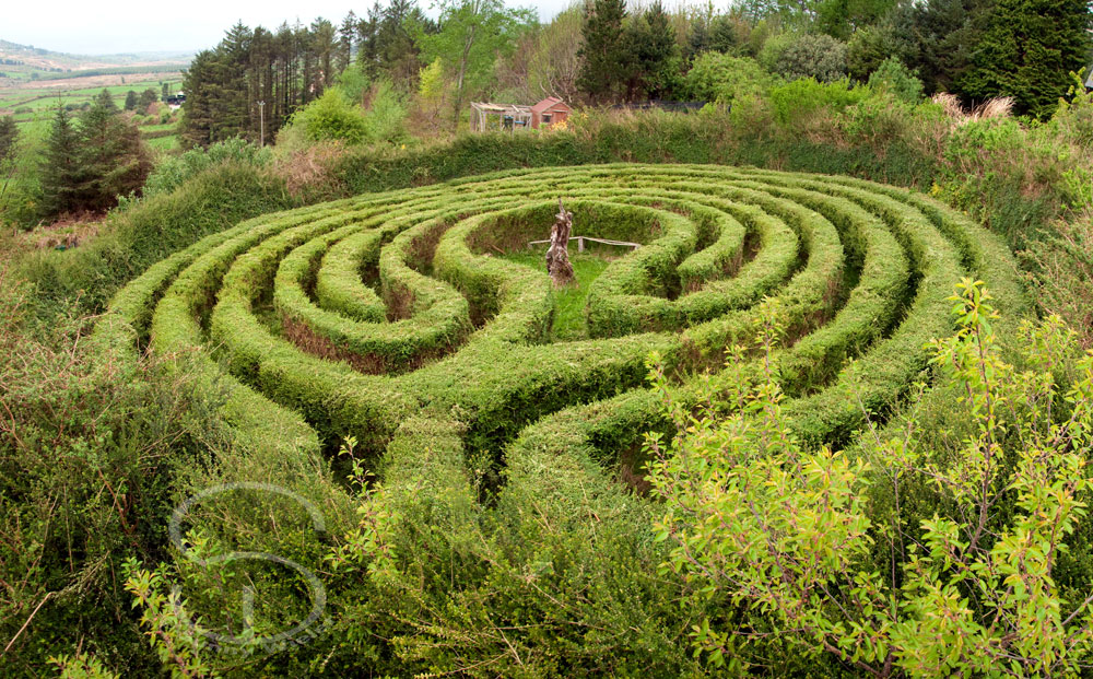 Hagal Farm's Blog: The Labyrinth and its healing powers for Alzheimer's ...