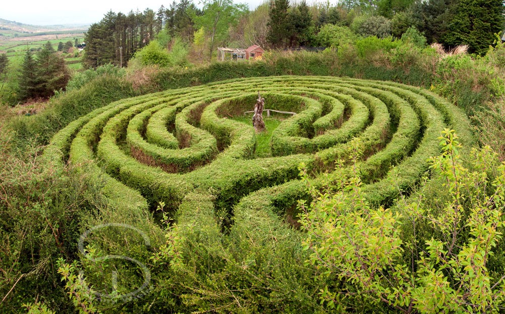 Hagal Farm's Blog: The Labyrinth and its healing powers for Alzheimer's ...