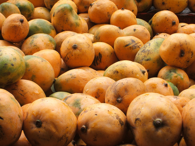 10 Popular Indian Mango Varieties