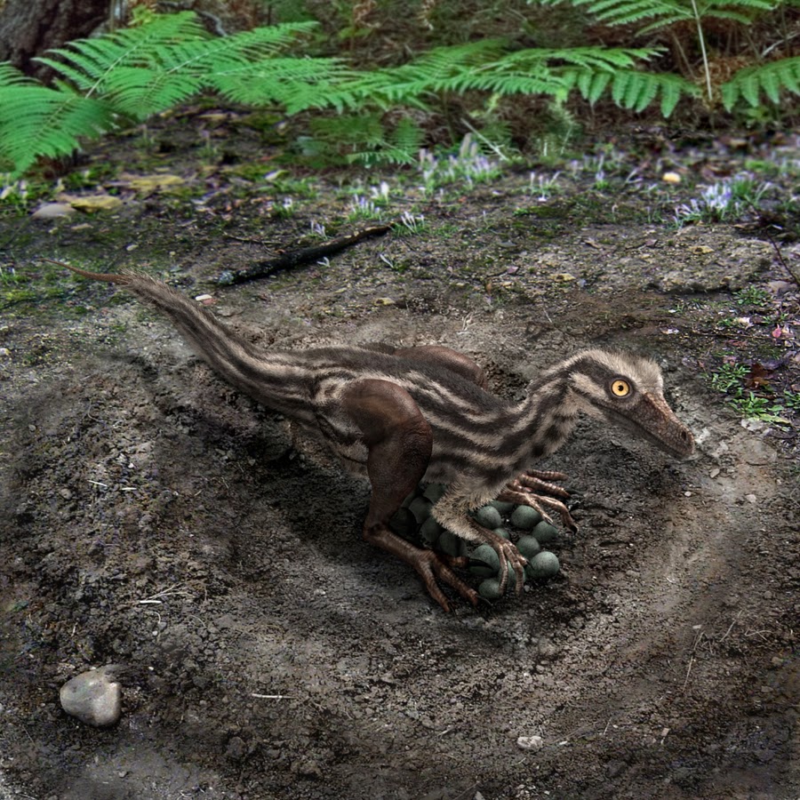 Troodon ou Troodonte | Dinos Tephix