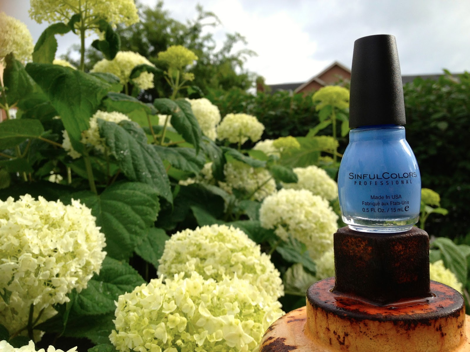 mani Monday | sealaura