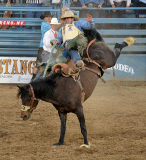 Random Images from a Nightowl: June 2011