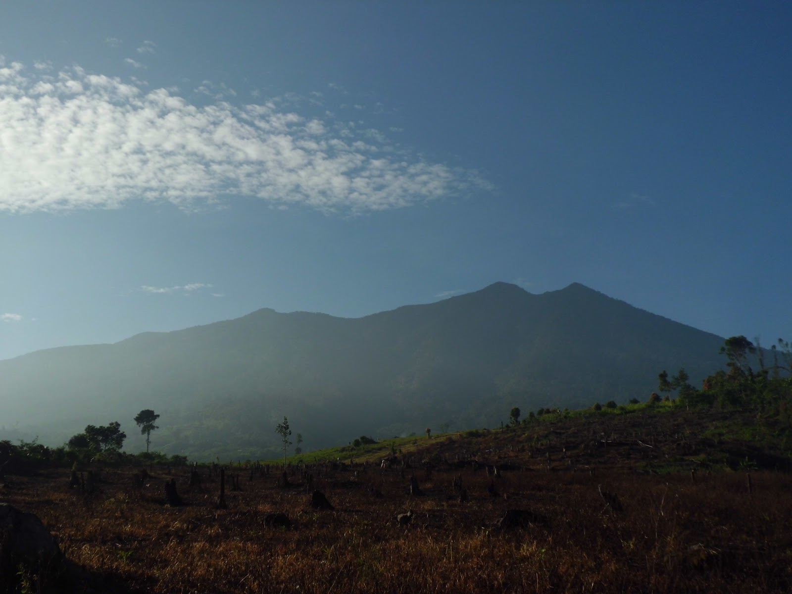 Rimbawan: Gunung Masurai Bangko-Jambi
