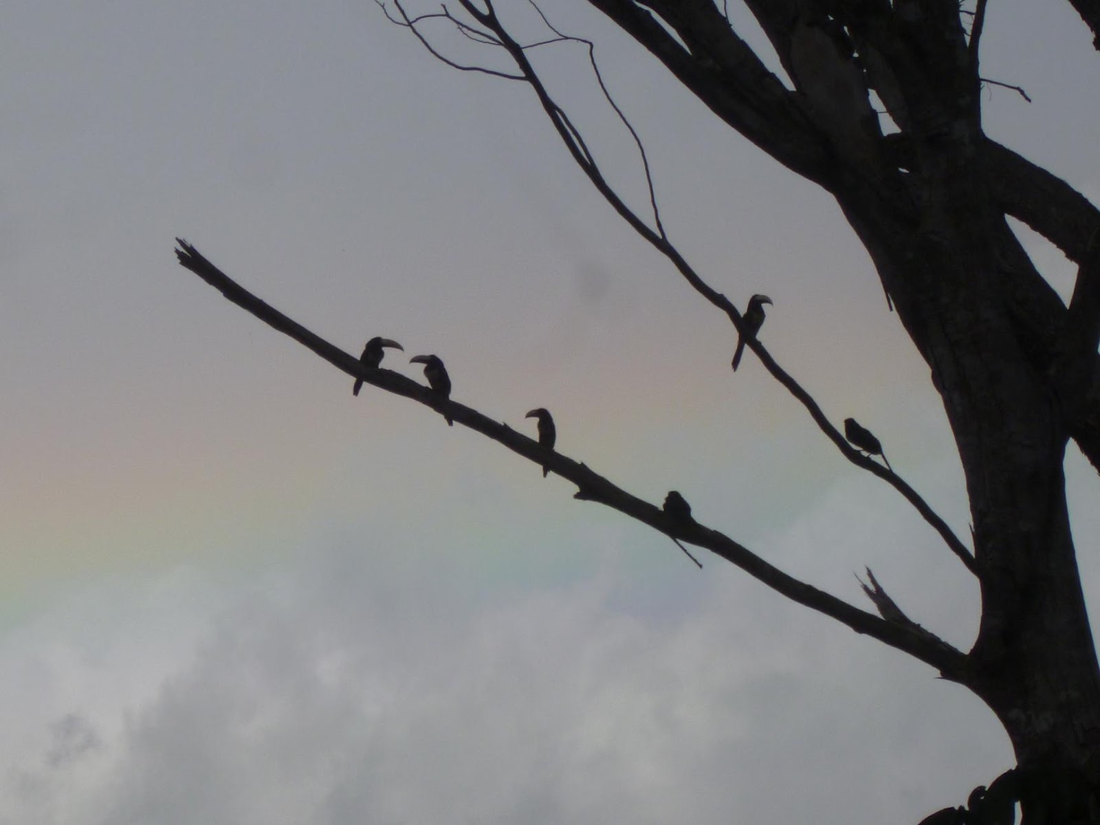 Elder Collin J. Andrus