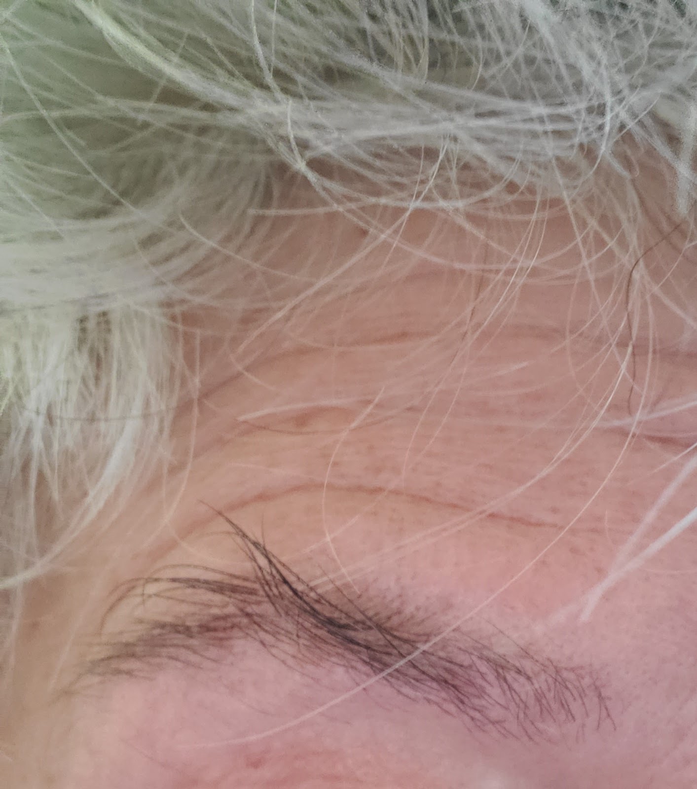 The Burrow: Inherited Traits