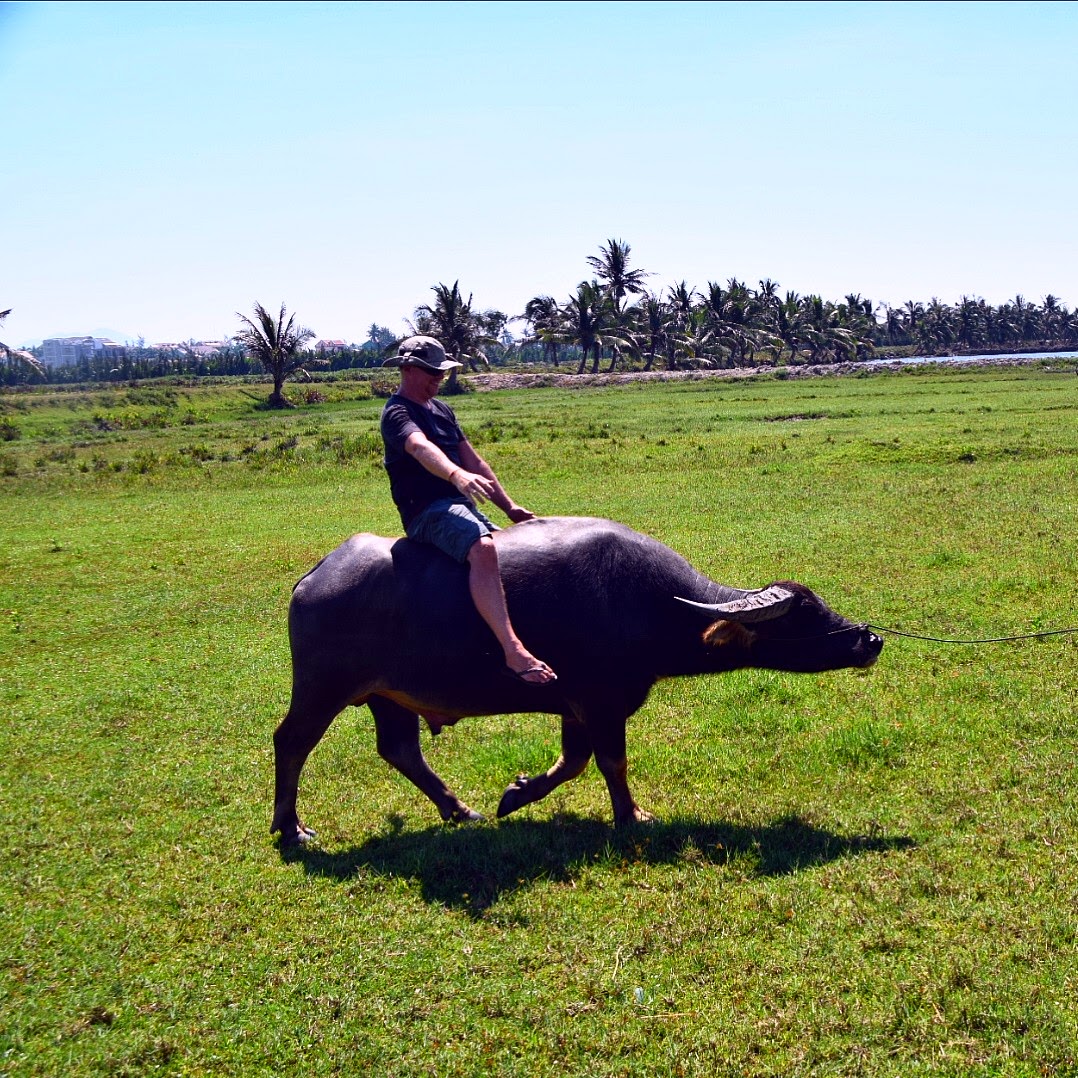 Fork It, Let's Travel!: Riding a Water Buffalo
