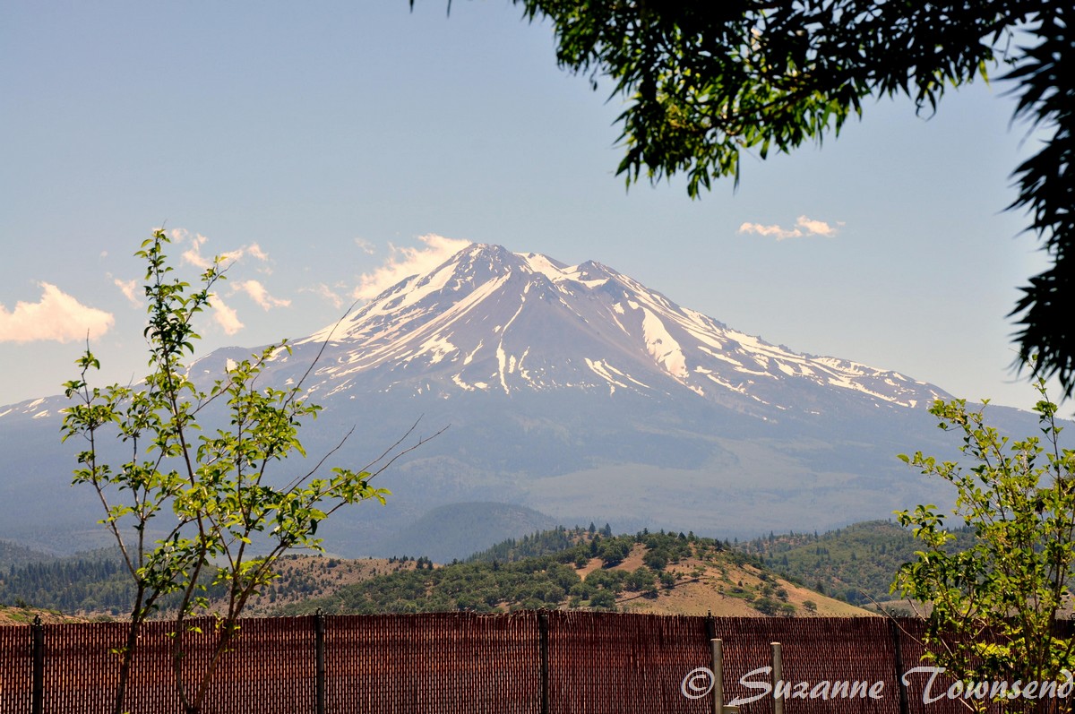 Hitchin' To Go: In the Shadow of Mount Shasta