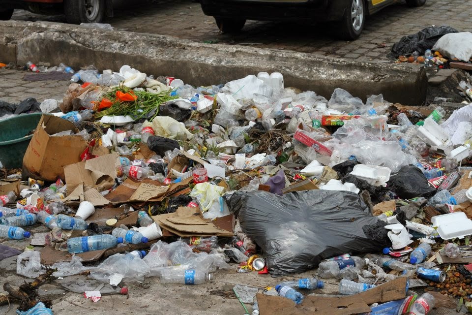 Environmental Activism is not About Carbon Emissions: A Call for A ...