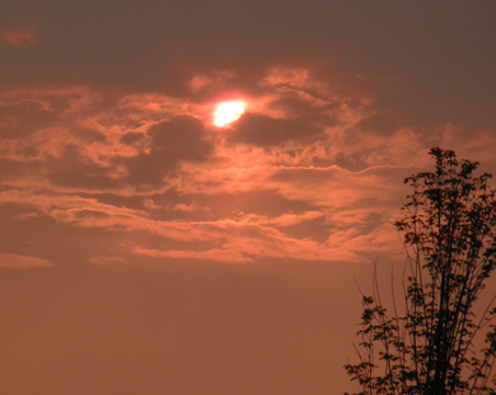 Audrey Finch: Falling ash