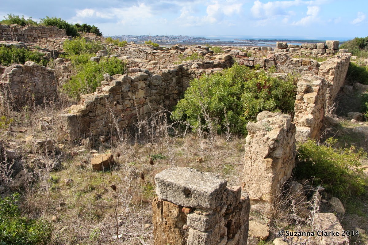 THE VIEW FROM FEZ: Roman Cities in Morocco: Lixus