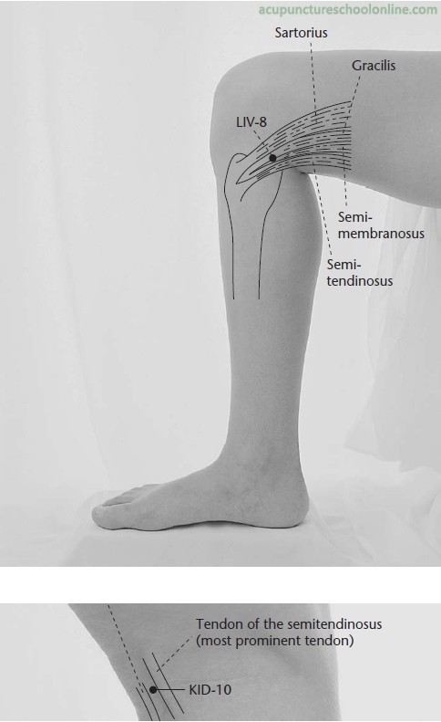 Jarum Sakti: Meridian Jue Yin Kaki/Liver