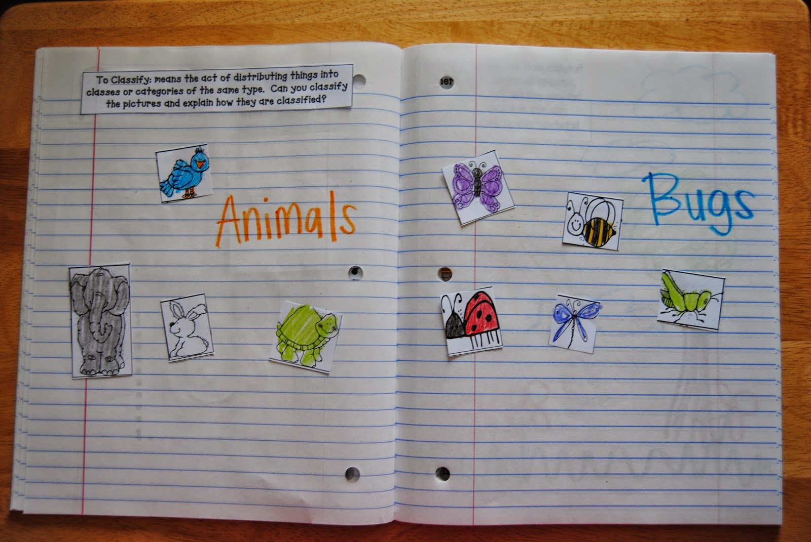 Teaching, Learning, & Loving: Interactive Science Journals