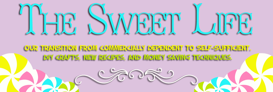 The Sweet Life: Day 1: Organized State of Mind